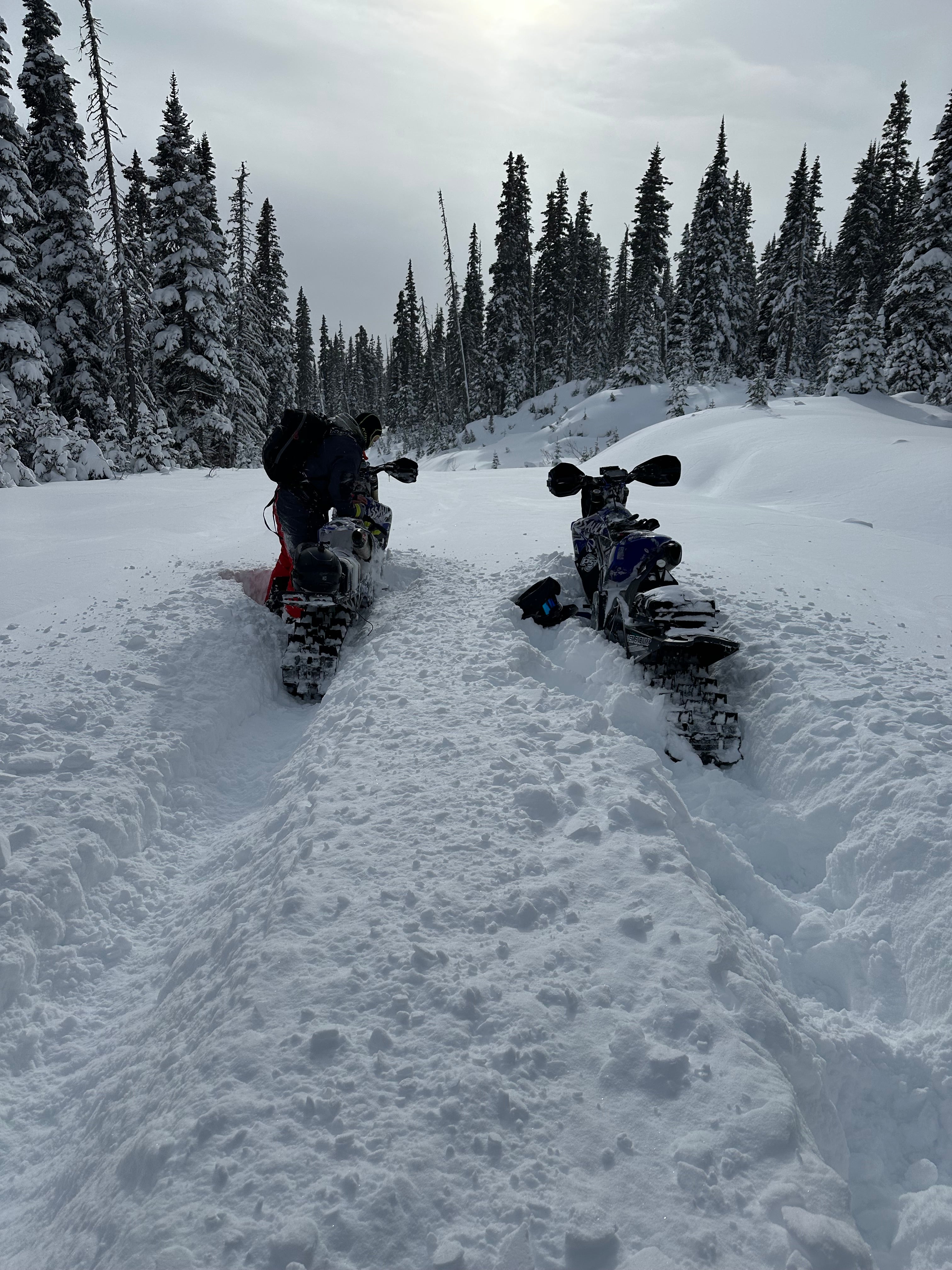 VP RACING – Assault Moto